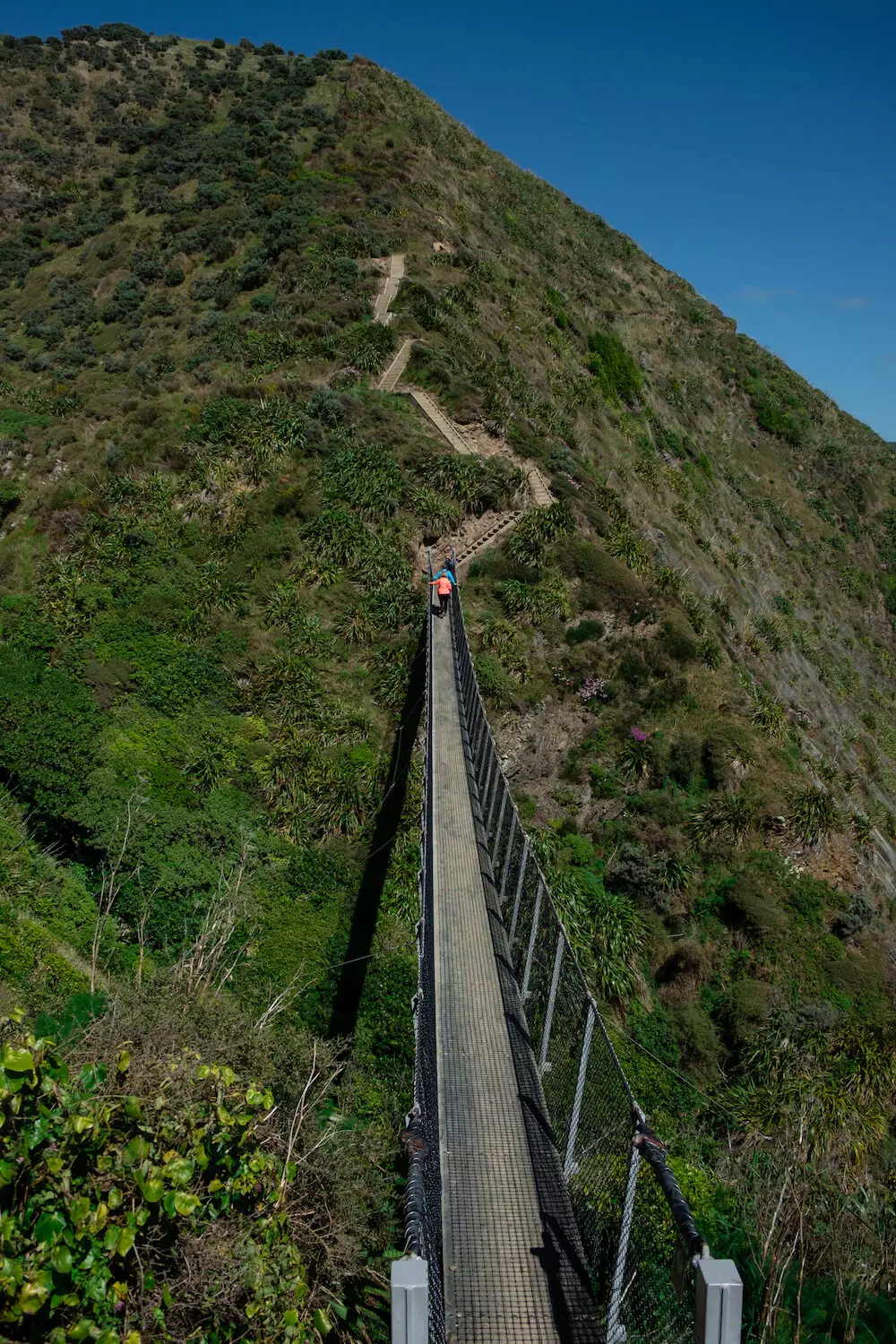Hiking the Paekakariki Escarpment Track With Kids | Ezi Car Rental – Home